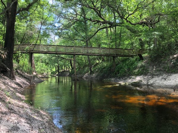 Discover the Hidden Gems of Suwannee County